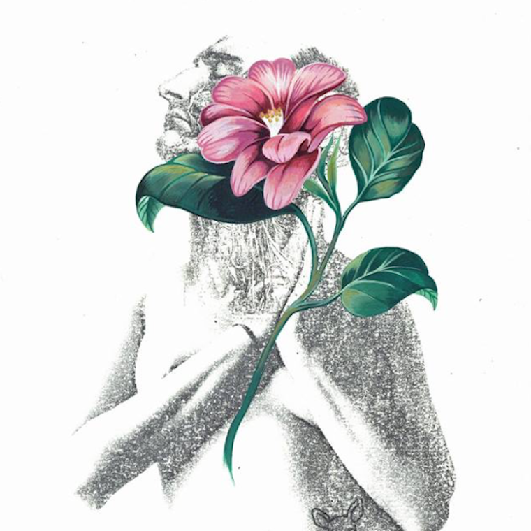 Barbara Cardinale | FLAC